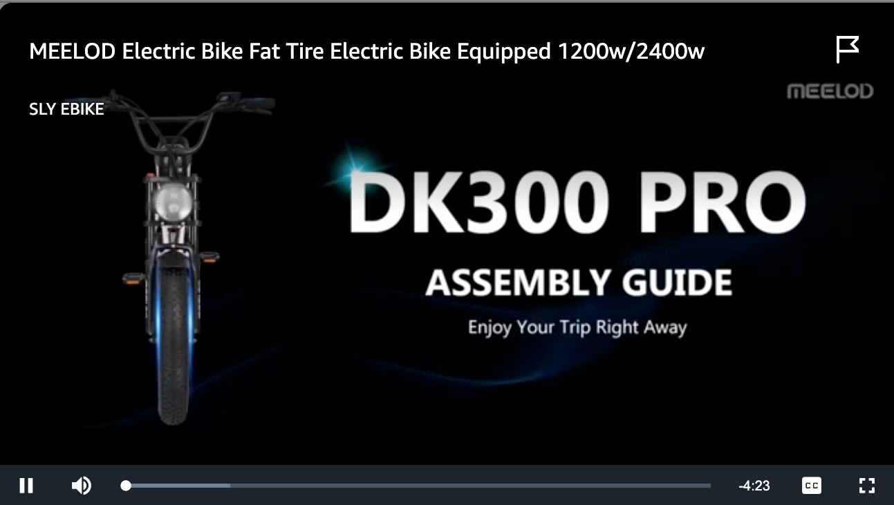 MEELOD E-Bike Review (2025): Affordable Moped-Style Electric Bikes ...